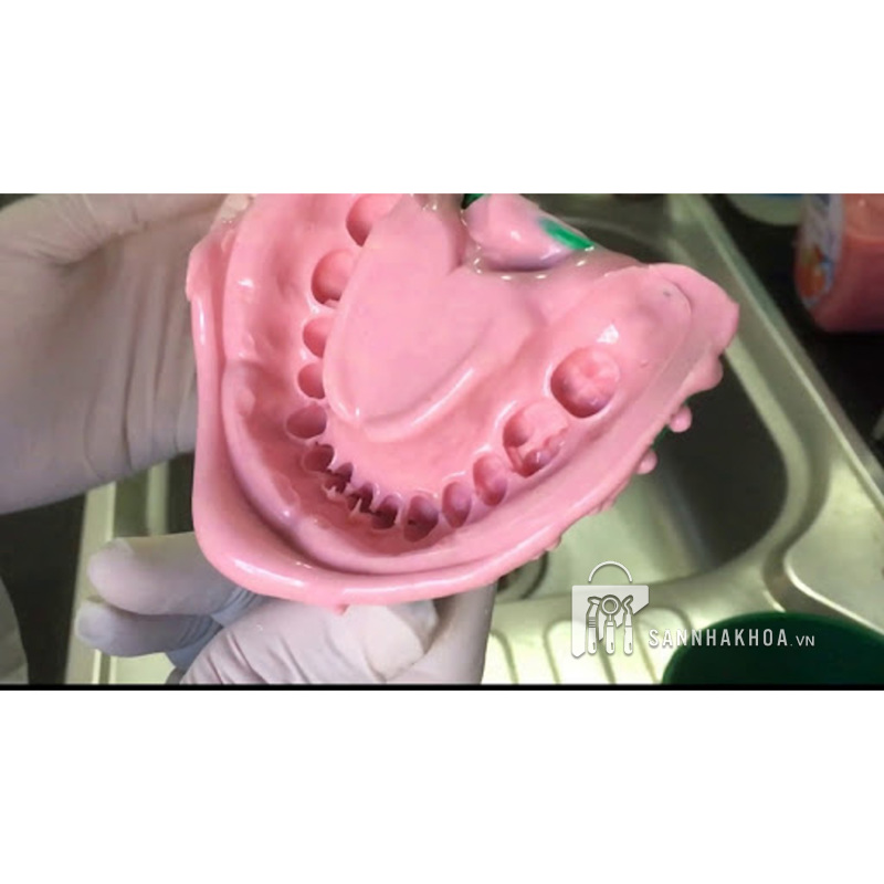 Mua Cao Su Lấy Dấu Prestige Putty - Silicone A Vannini ️ VAT đầy đủ