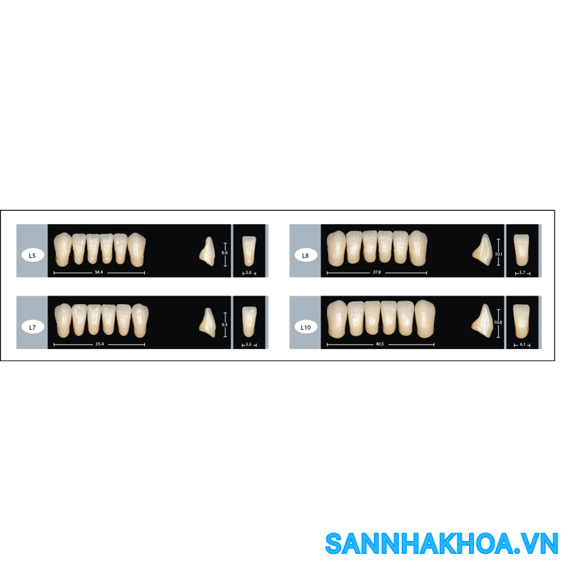 Mua Răng Composite Tháo Lắp Schottlander ️ VAT đầy đủ
