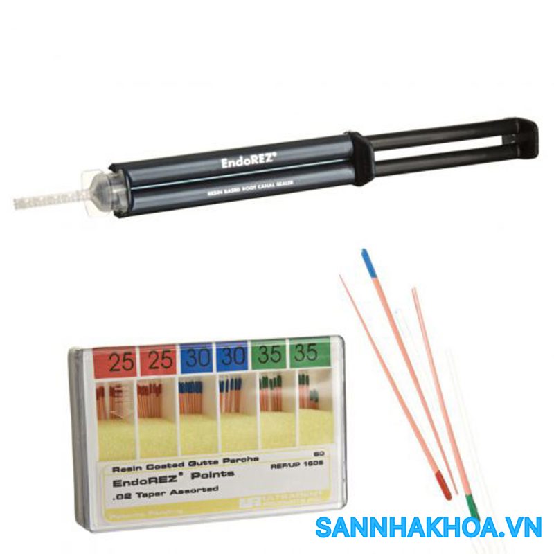 Mua Bộ Trám Bít Ống Tủy Endorez ️ VAT đầy đủ Sàn Nha Khoa Lớn Nhất VN