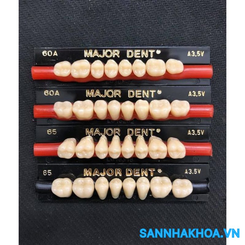 Mua Răng Nhựa Major Dent Đến Từ Italy ️ VAT đầy đủ